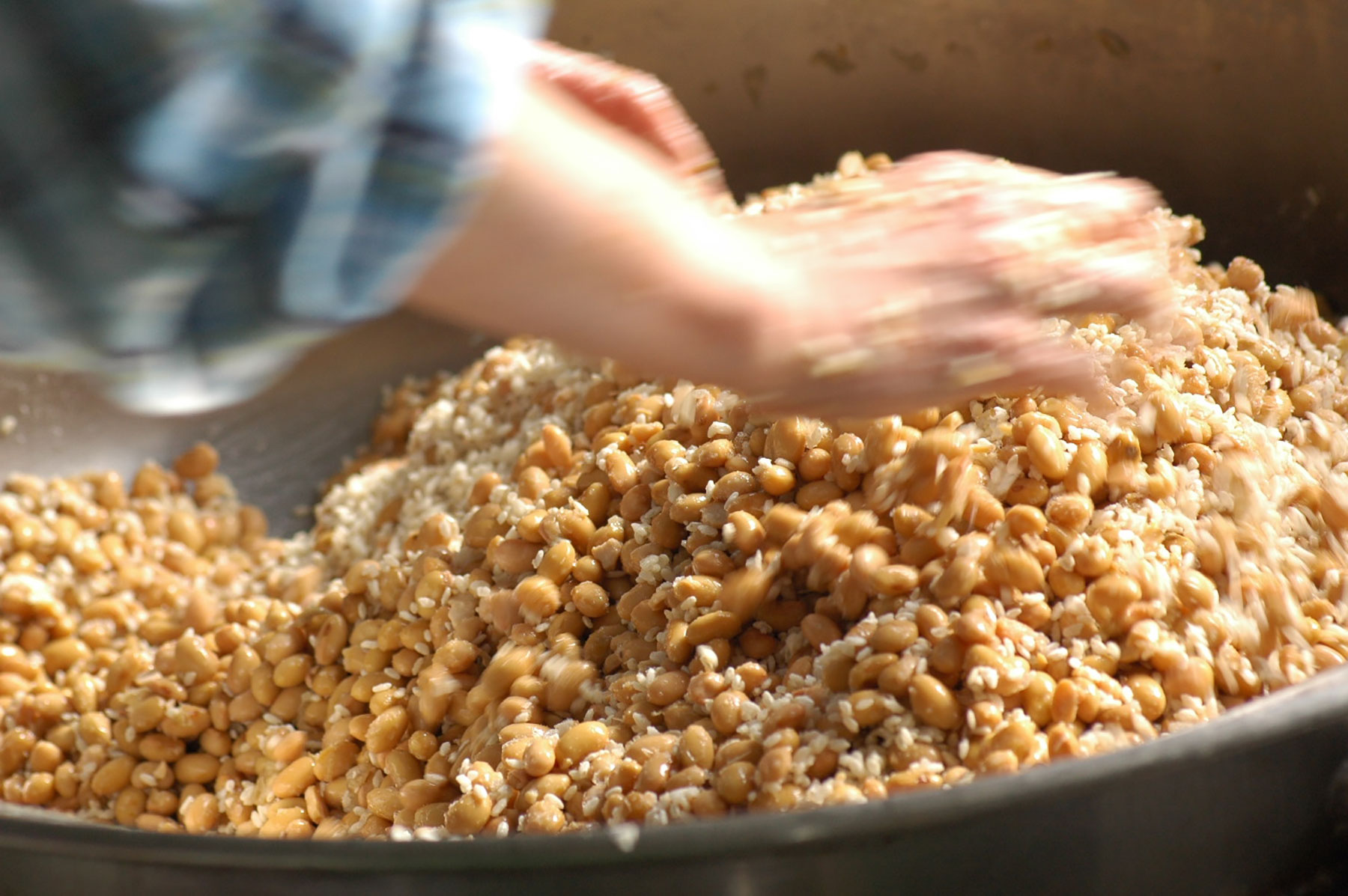 Understanding Fermentation Basics through Miso and Soy Sauce - WAMI ...