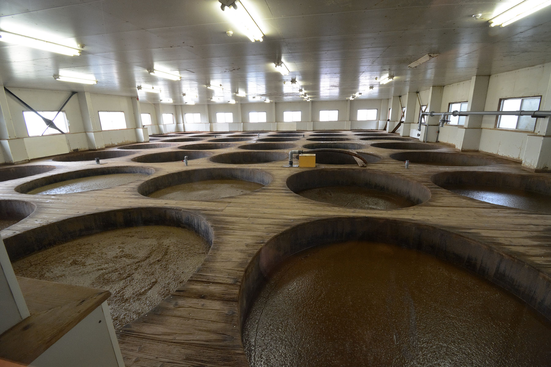 Understanding Fermentation Basics through Miso and Soy Sauce - WAMI ...