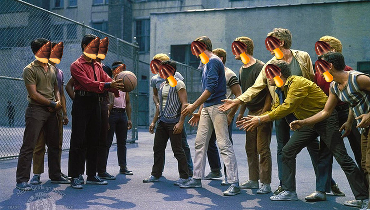 The Great Japanese Chocolate Snack War: Kinoko no Yama vs Takenoko no ...